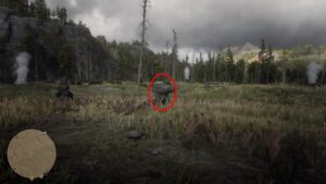 Treasure Maps in Red Dead Redemption 2: How to Find Them